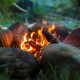 Preparing (and Packing for) Your Camp Kitchen - Roaring Camp ...